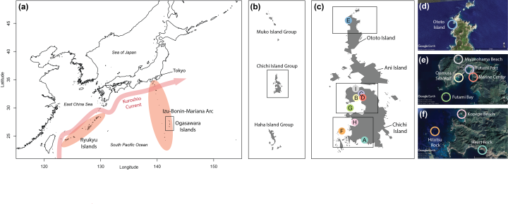 Nature’s checkup: surveying biodiversity with environmental DNA sequencing | Okinawa Institute ...
